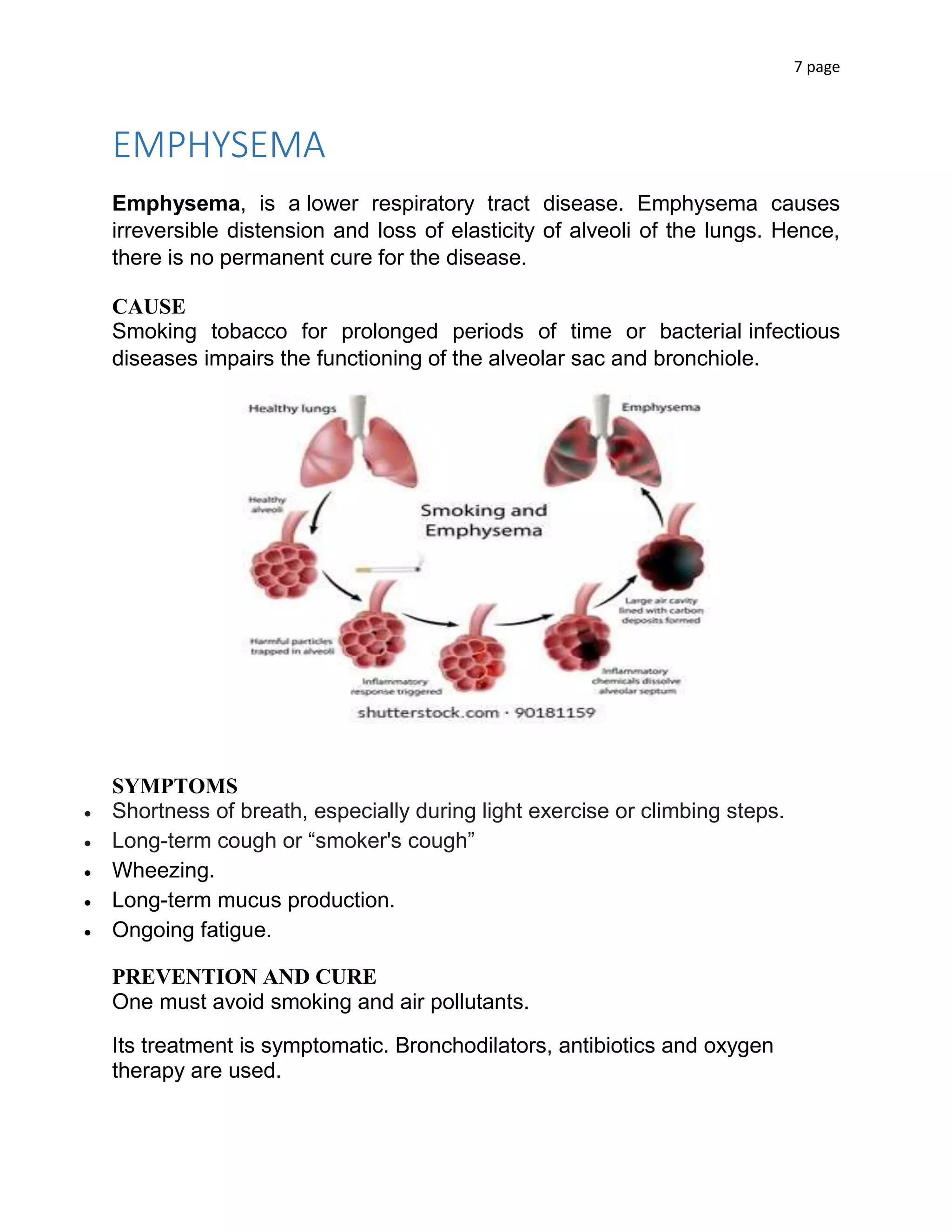 bio project lungs.docx