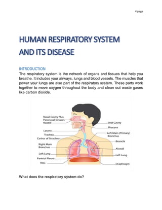bio project lungs.docx