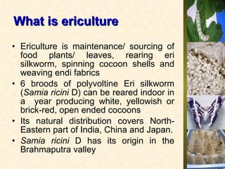 ERICULTURE ---A BIOPROSPECTING FOR SUPPLEMENTING LIVELIHOOD | PPT