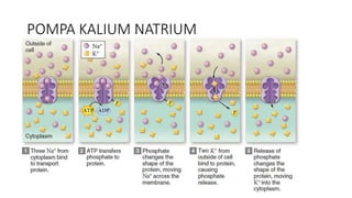 Bioproses dalam Sel | PPTX
