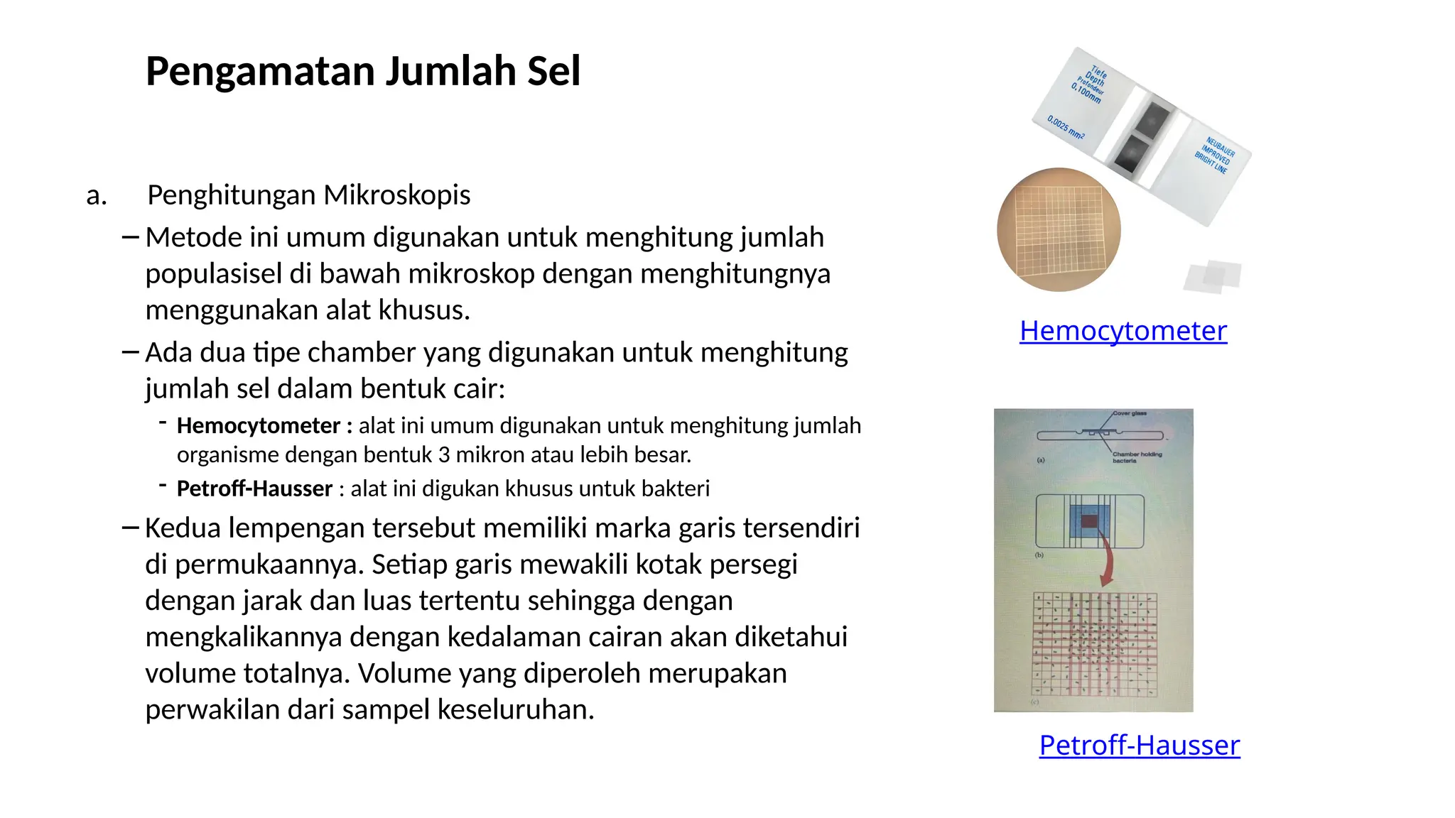 Bioproses dan Biomasa sel 2Bioproses dan Biomasa sel 2.pptx