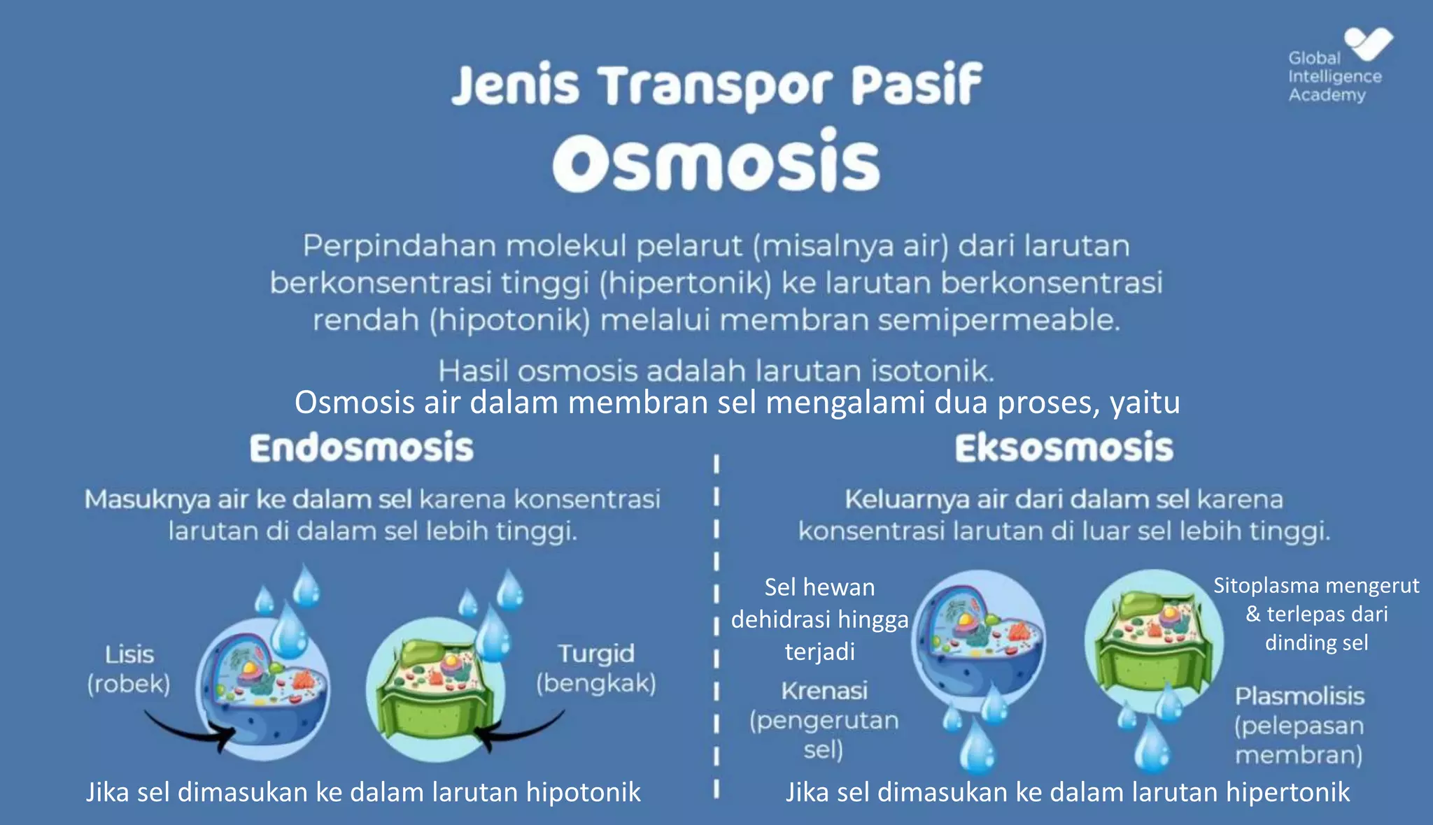 Bioproses Sel Part 1.pptx