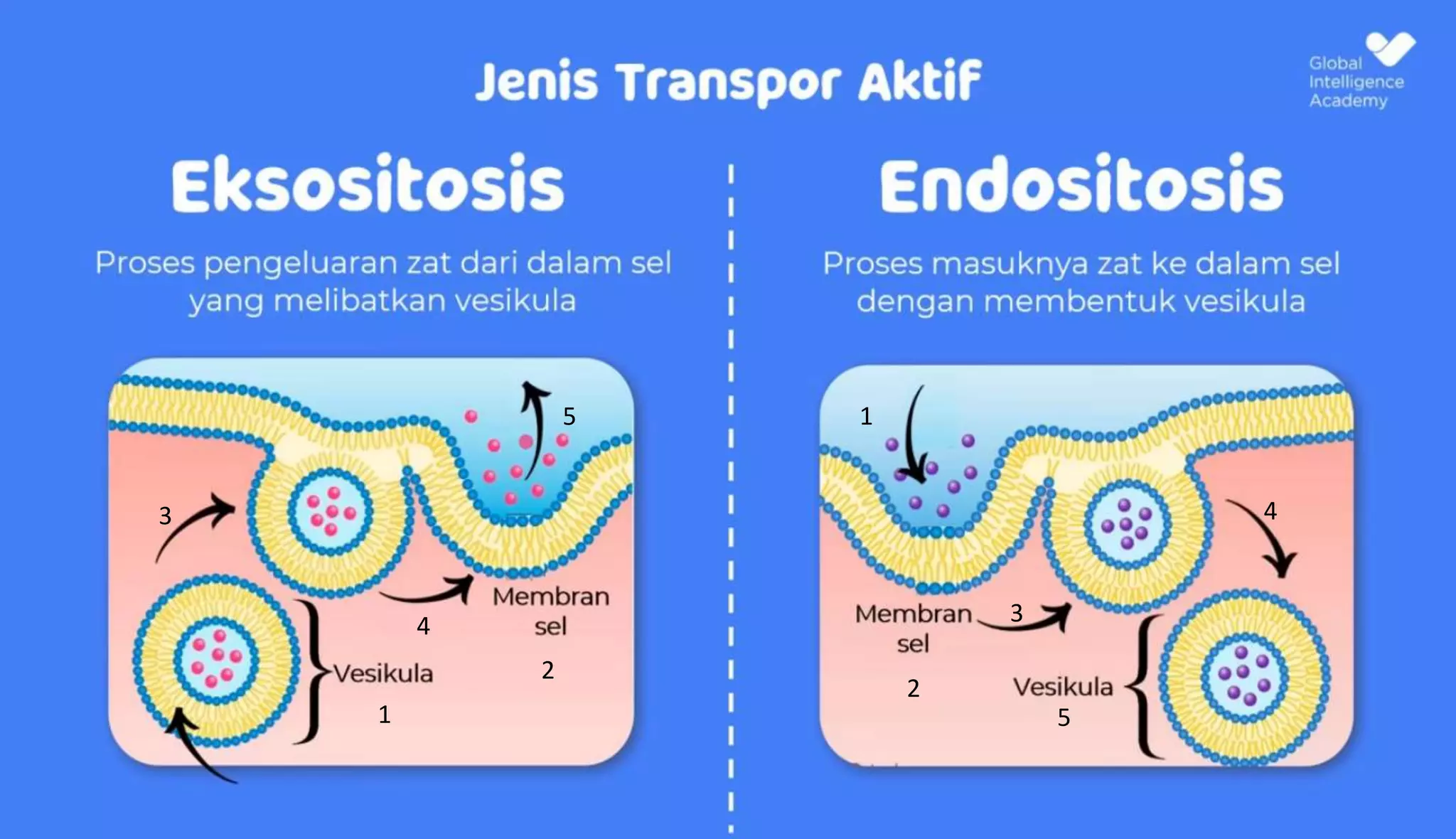 Bioproses Sel Part 1.pptx