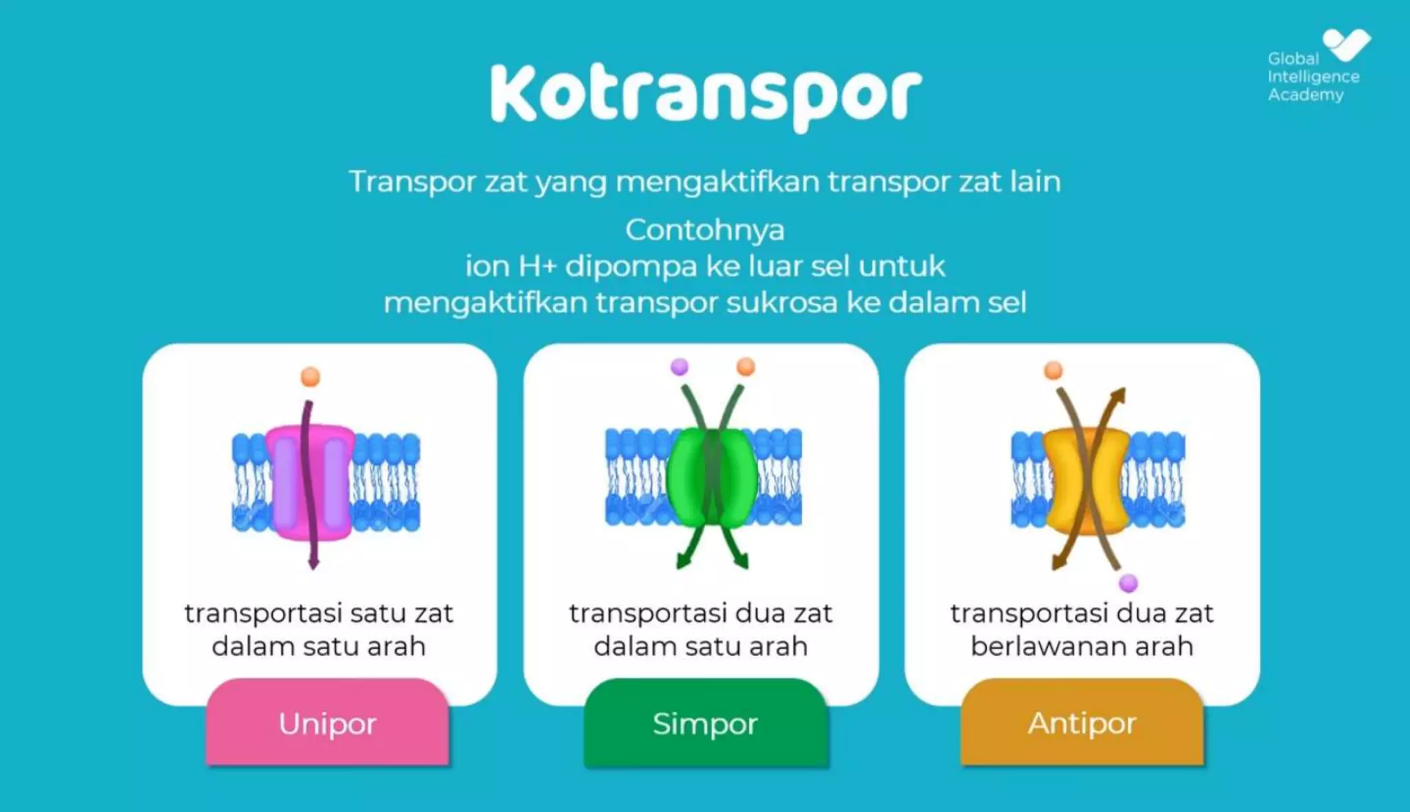 Bioproses Sel Part 1.pptx