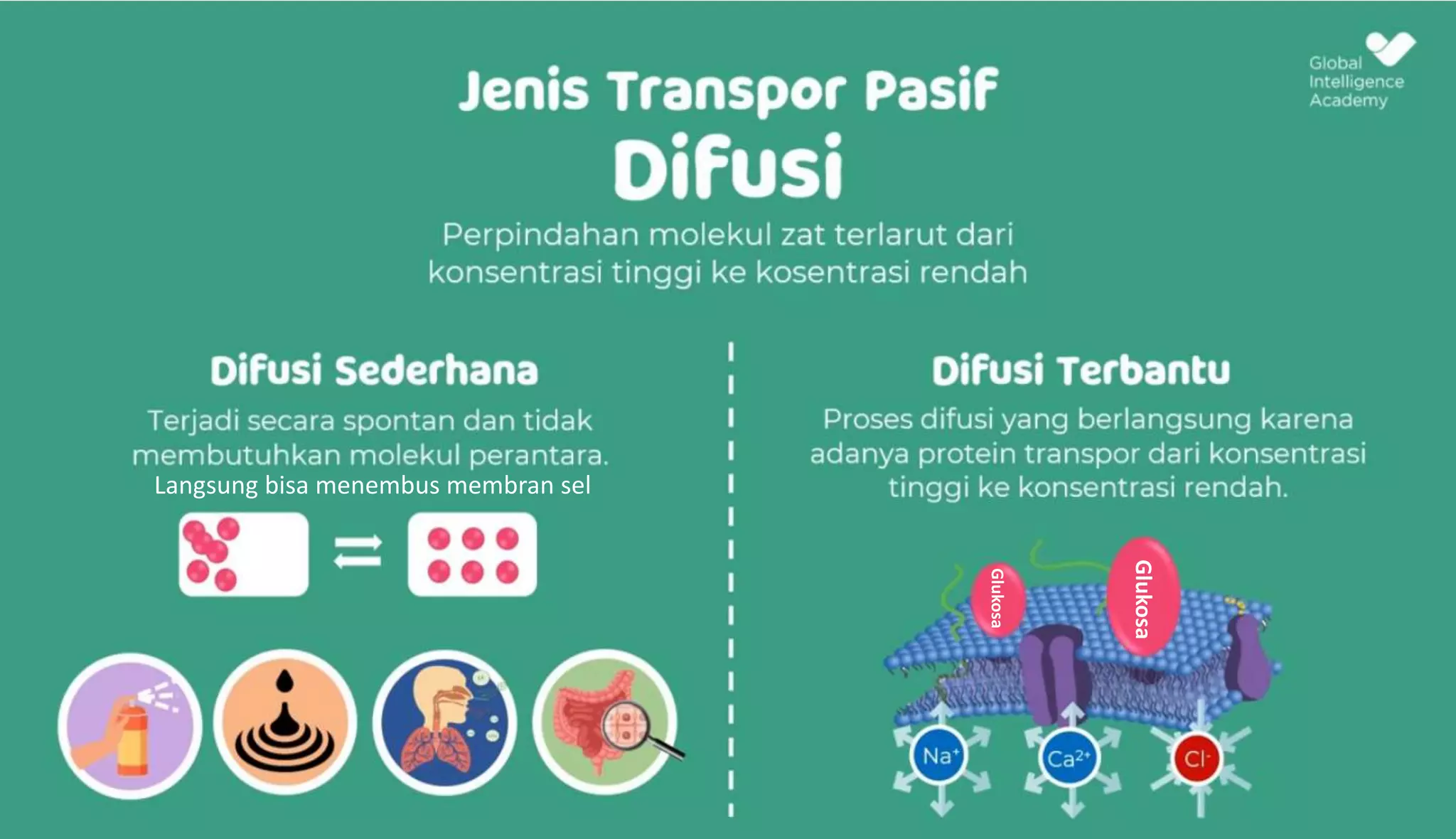 Bioproses Sel Part 1.pptx