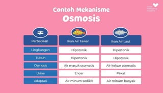 Bioproses Sel Part 1.pptx