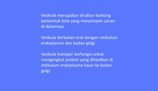 Bioproses Sel Part 1.pptx