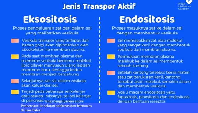 Bioproses Sel Part 1.pptx