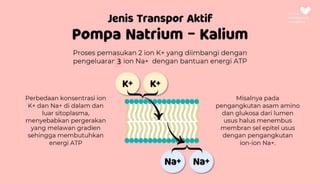 Bioproses Sel Part 1.pptx
