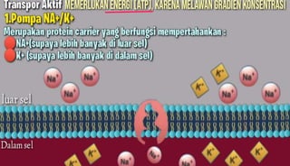 Bioproses Sel Part 1.pptx