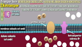 Bioproses Sel Part 1.pptx