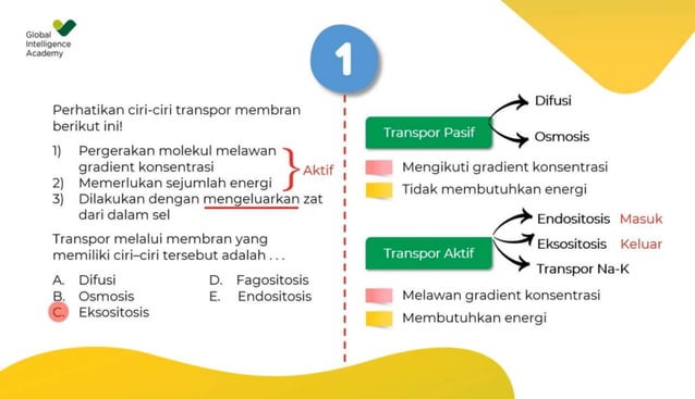 Bioproses Sel Part 1.pptx