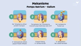 Bioproses Sel Part 1.pptx