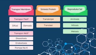 Bioproses Sel Part 1.pptx