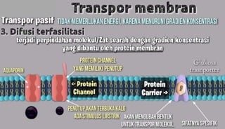 Bioproses Sel Part 1.pptx