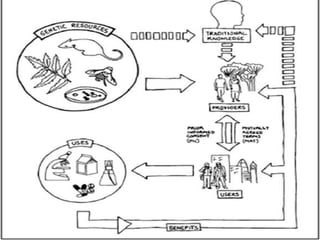 Bioprospecting | PPTX