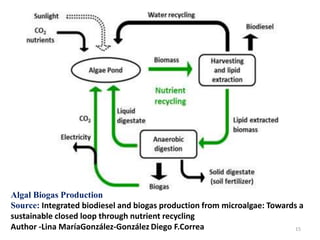 Bioprospecting | PPTX