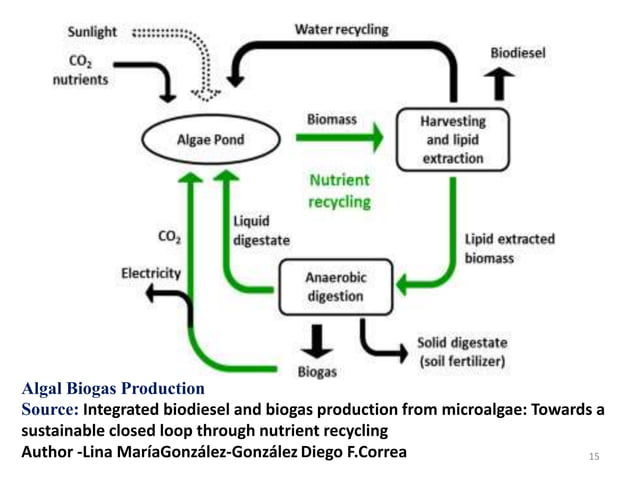 Bioprospecting | PPTX