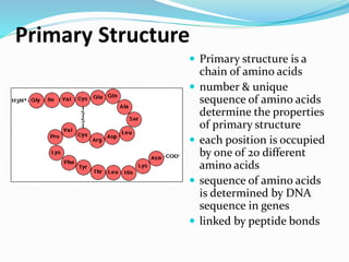 bio protein.ppt