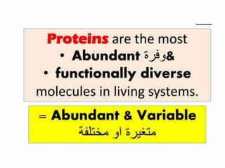 bio protein.ppt