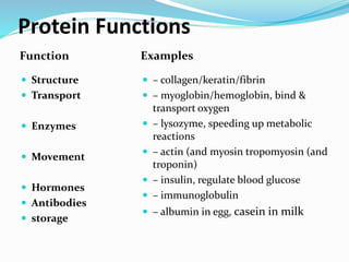 bio protein.ppt