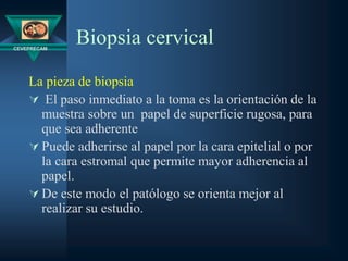 Biopsia cervical | PDF