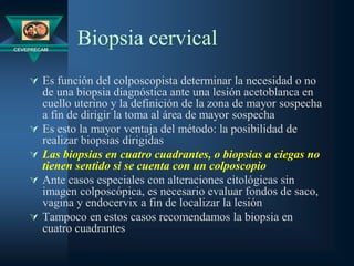 Biopsia cervical | PDF