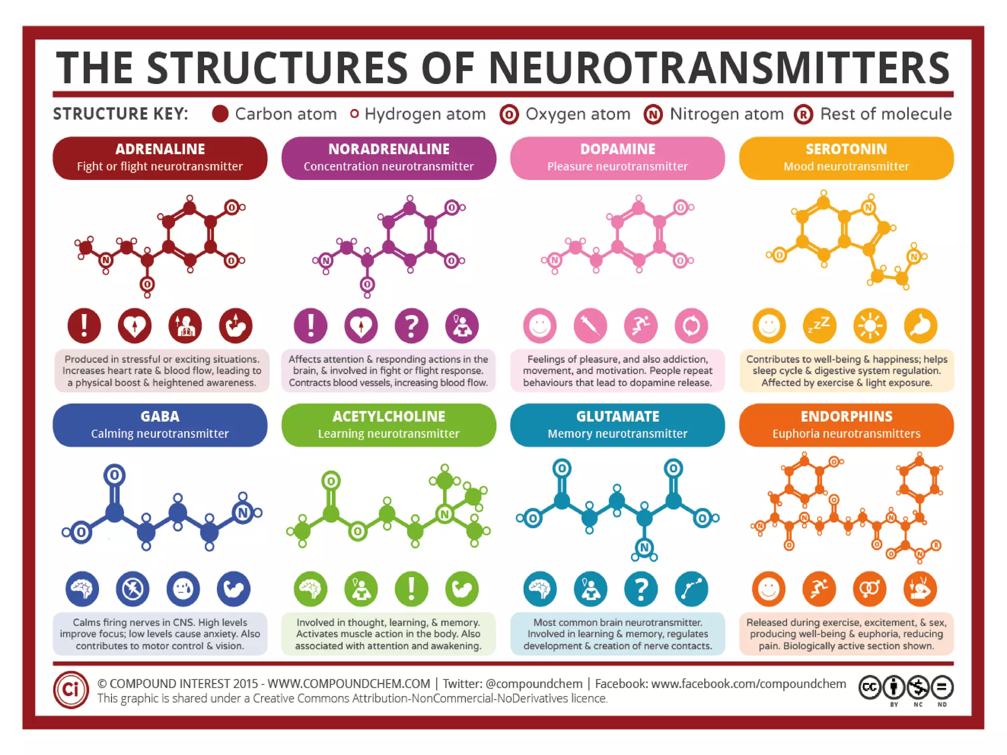 Neural Pathway | PPT