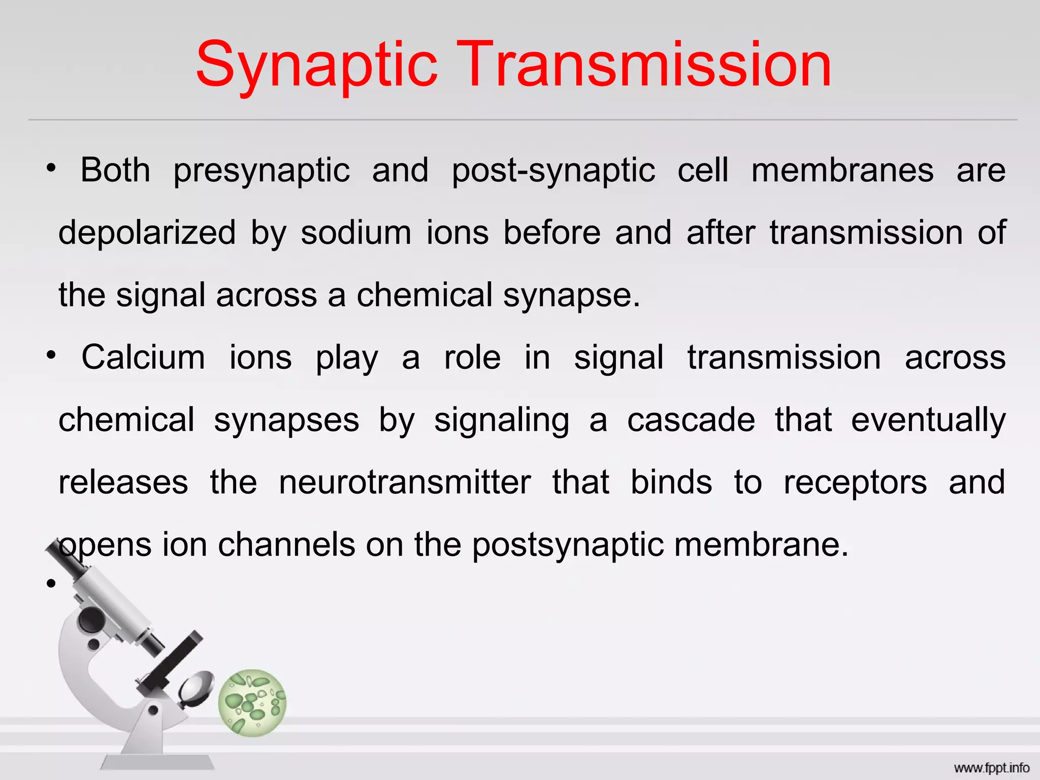 Neural Pathway | PPT