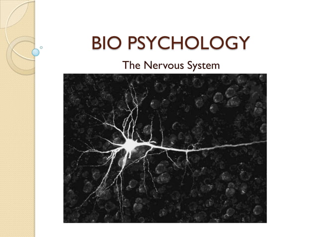 Bio psychology | PPT