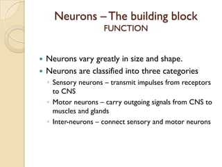 Bio psychology | PPT