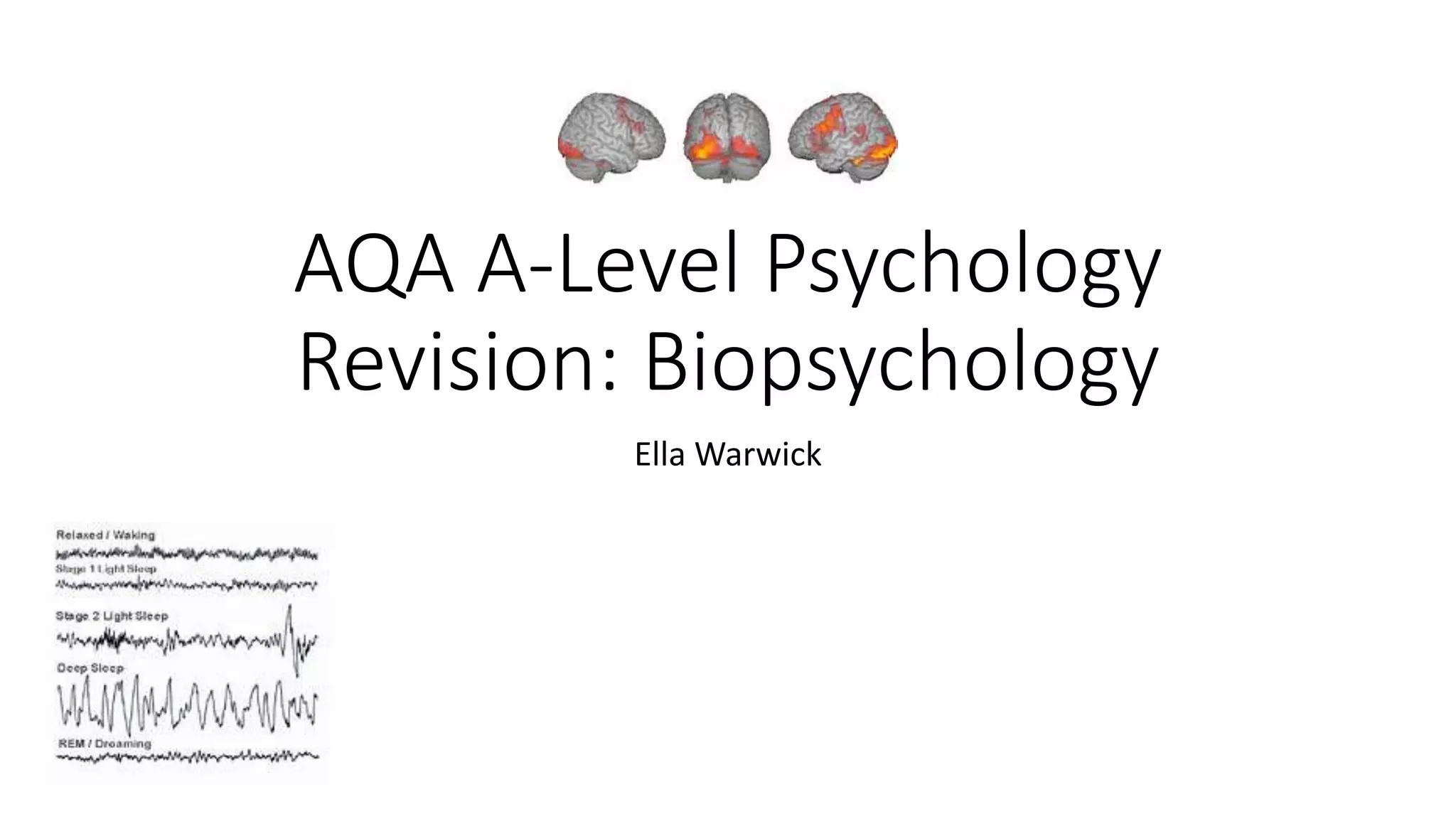 Biopsychology revision - AQA A Level Psychology | PPTX