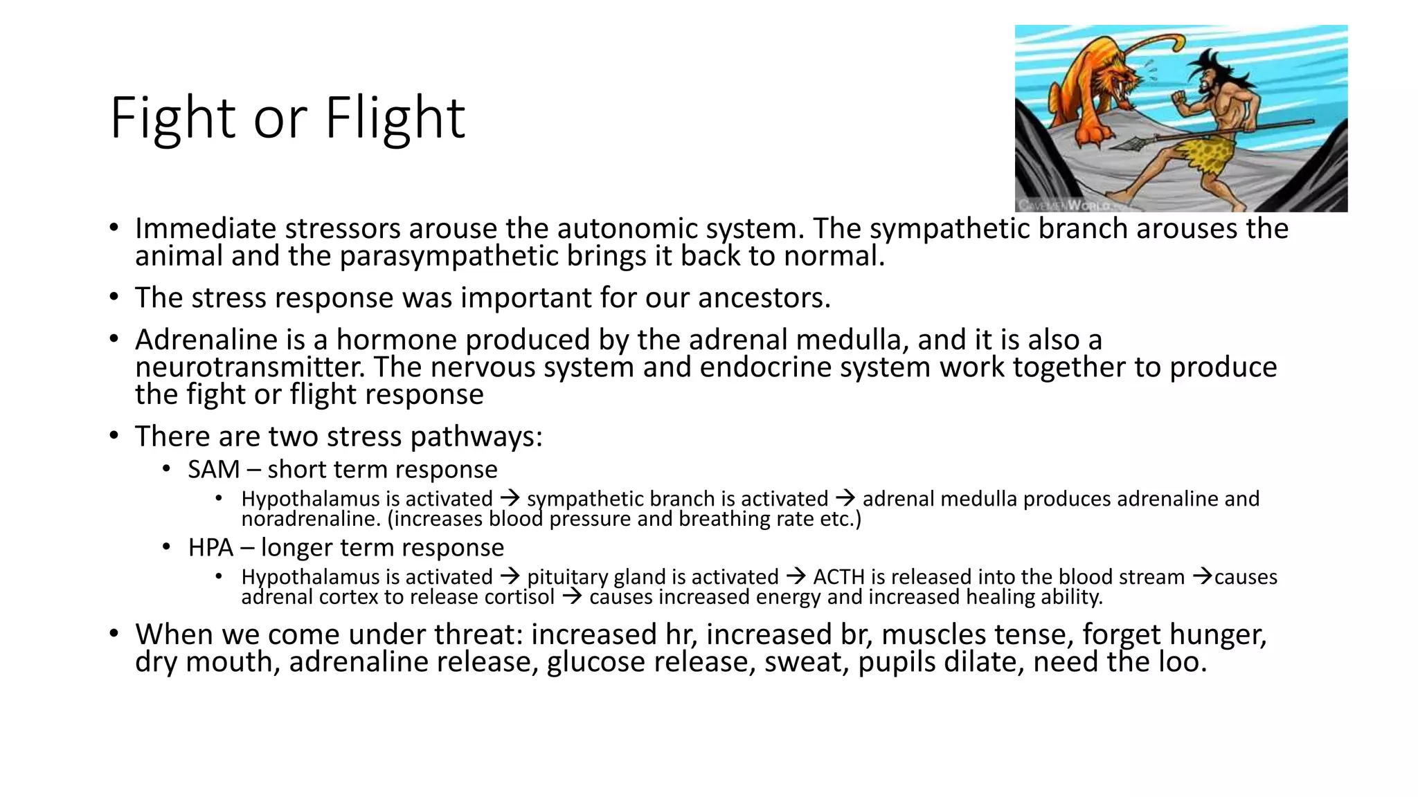 Biopsychology revision - AQA A Level Psychology | PPTX