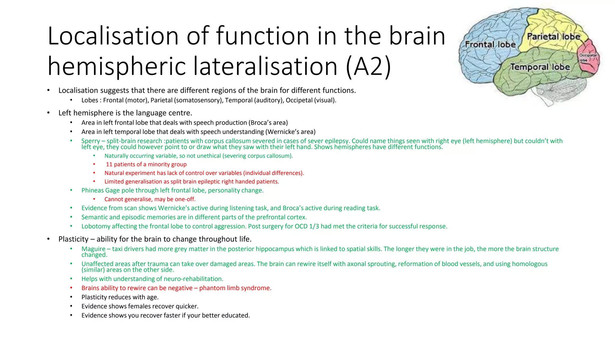 Biopsychology revision - AQA A Level Psychology | PPTX