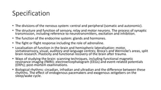 Biopsychology revision - AQA A Level Psychology | PPTX | Endocrine and Metabolic Diseases ...