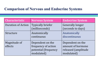 Comprehensive Overview of the Endocrine System and Hormonal Regulation ...