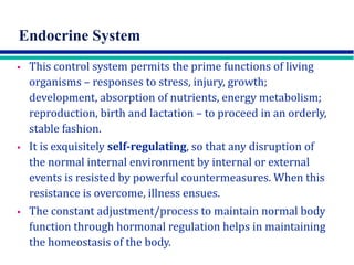 Comprehensive Overview of the Endocrine System and Hormonal Regulation ...