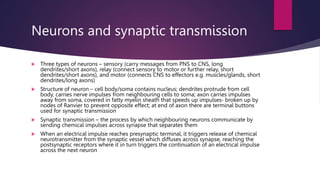 AQA Psychology A Level Revision Cards - Biopsychology Topic | PPTX