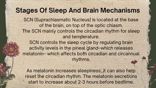 Biological and Physiology Psychology PPT.pdf