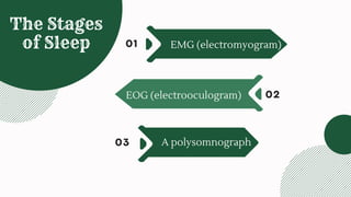 Biological and Physiology Psychology PPT.pdf