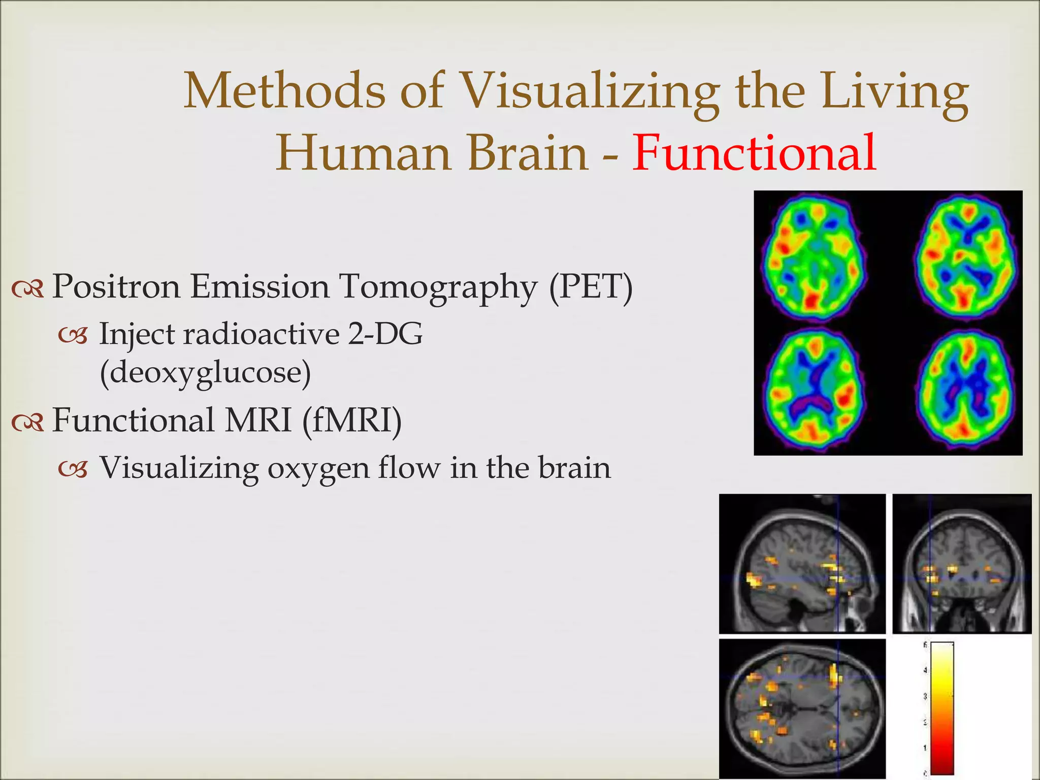 biopsyc methods.ppt