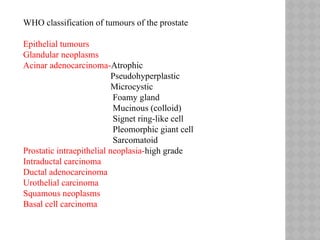 Biopsy interpretation of prostate disease | PPTX
