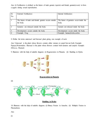 CLASS X SCIENCE | DOCX