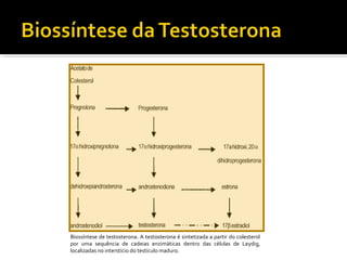 Bioquimica | PPT
