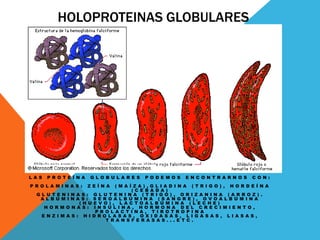 Bioquimica clasificaion de proteinas | PPTX