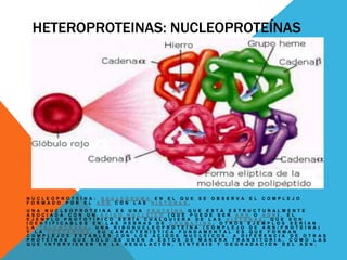 Bioquimica clasificaion de proteinas | PPTX