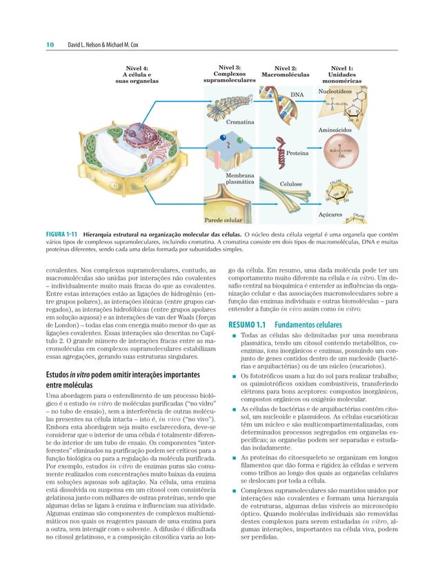 Fundamentos da bioquimica