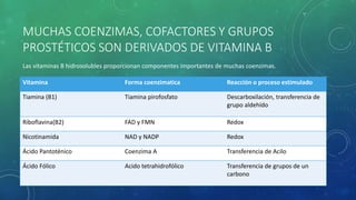 Enzimas: Mecanismo de Acción | PPTX