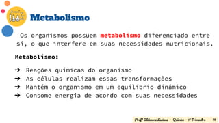 Comprehensive Biochemistry and Human Digestive System Overview | PDF