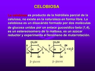 Bioquimica basica | PPT